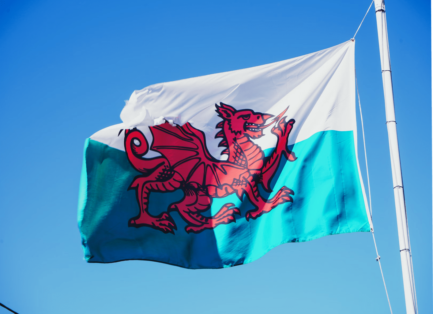 Global Welsh - Hivebrite