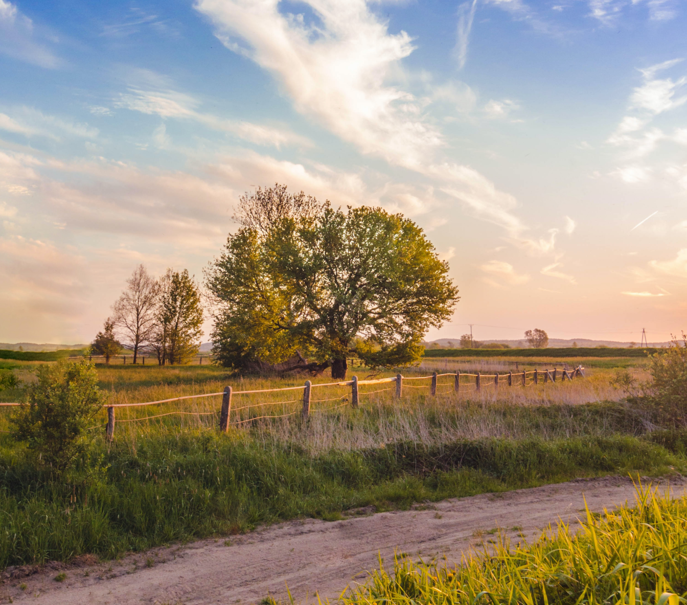 Start Up Colorado Case Study - Hivebrite